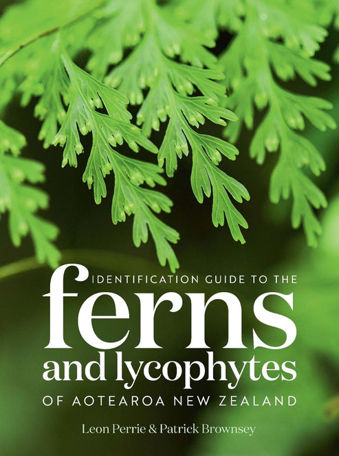 Identification Guide to the Ferns and Lycophytes of Aotearoa New Zeala ...