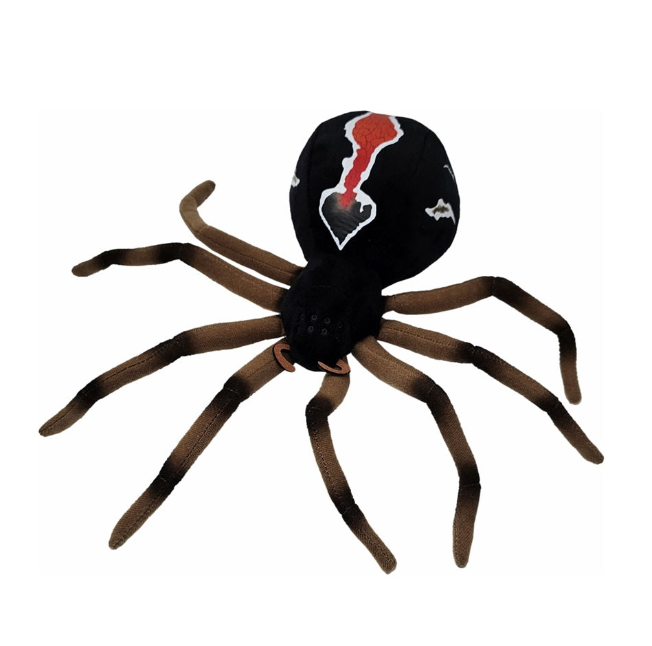 Katipō Spider – Zealandia