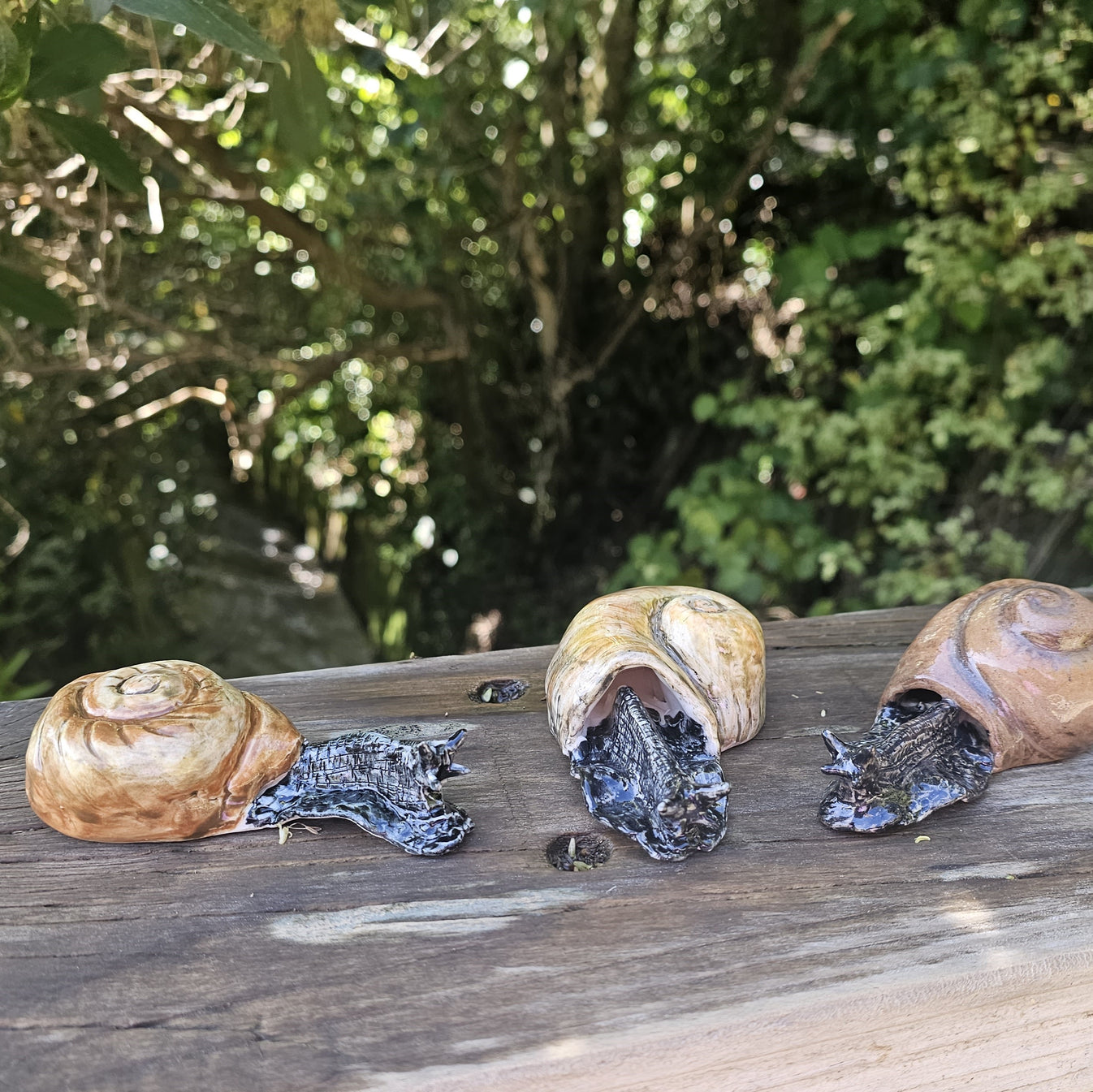 Ceramic Kauri Snail / Pupurangi – Zealandia