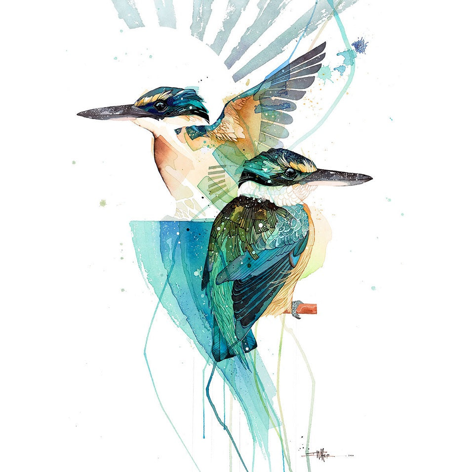 Rachel Walker Watercolour Artwork Prints – Zealandia